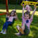 Gorilla Playsets Gorilla Basic Swing Set & Reviews | Wayfair